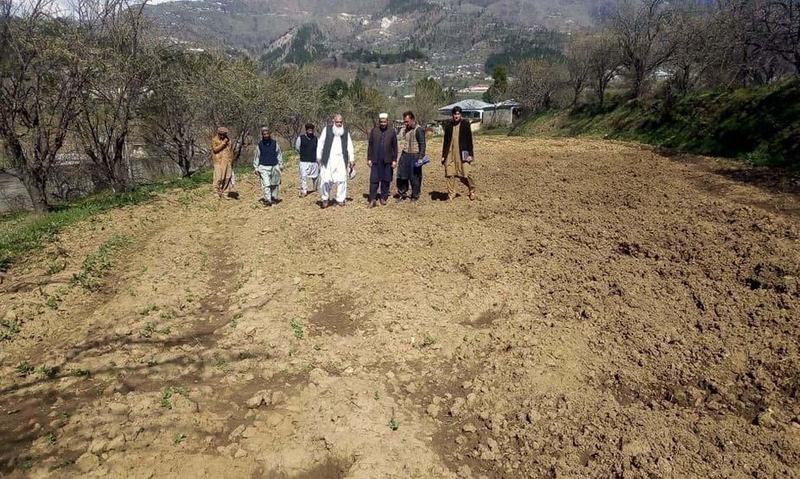 Warmer temperature lures wild boar to Pakistan’s northern farmlands ...