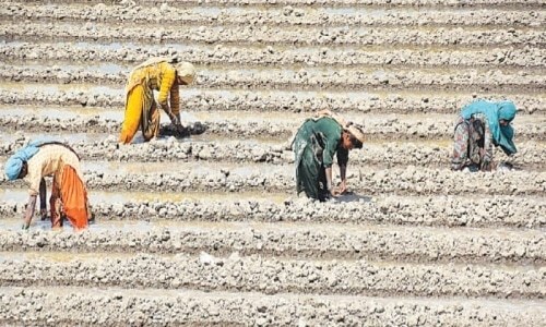‘Lack of geo-spatial zoning hampers agricultural productivity ...