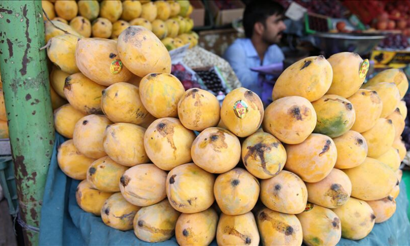 Pakistan's mango exports take huge hit amidst coronavirus restrictions ...