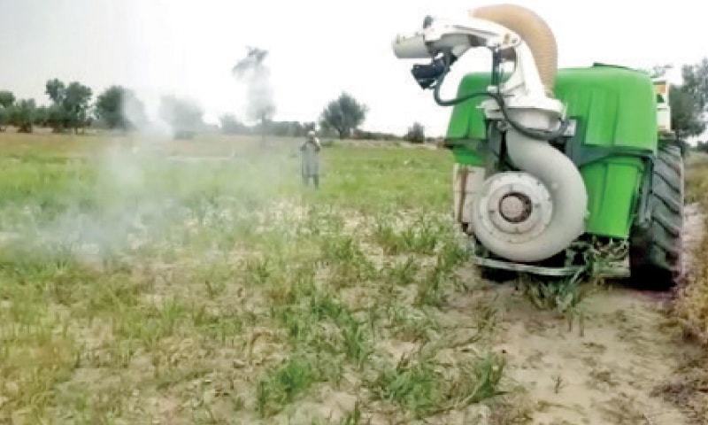 Aerial spray to eliminate locusts in Tharparkar begins - Pakistan ...