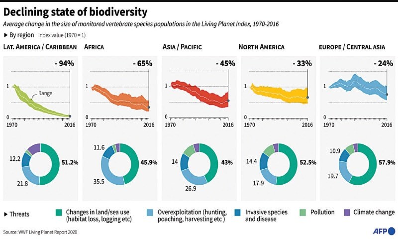 World wildlife population has declined by 68pc in 46 years: study ...