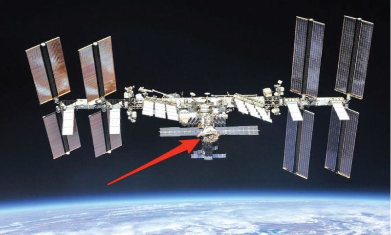 The weekly weird - Newspaper - DAWN.COM