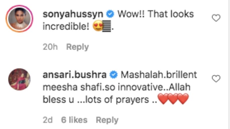 'Delicious track and video': The Meesha Shafi and Mughal-e-Funk collab ...