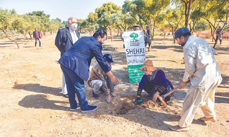 NGO plants 60 fruit tree saplings in Mazar-i-Quaid’s peripheral area ...