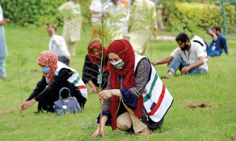 Tree plantation drive launched in Balochistan - Pakistan - DAWN.COM