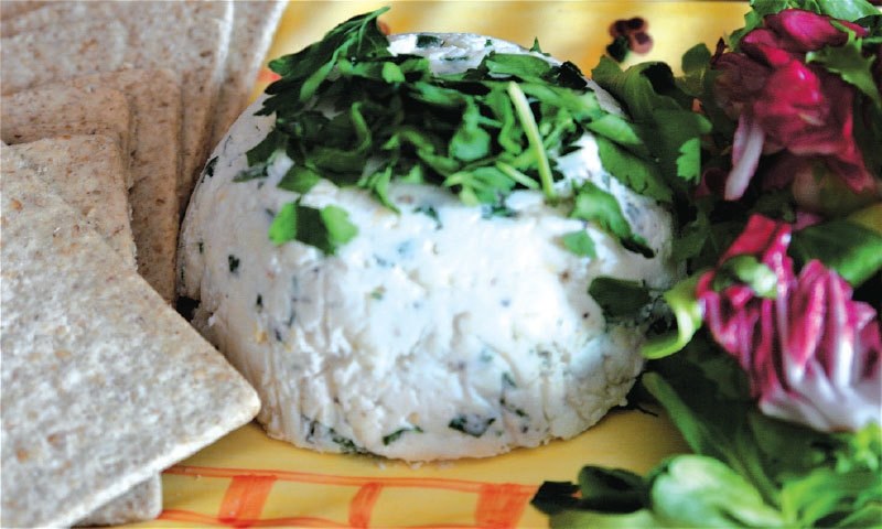 EPICURIOUS: SAY YES TO CHEESE - Newspaper - DAWN.COM