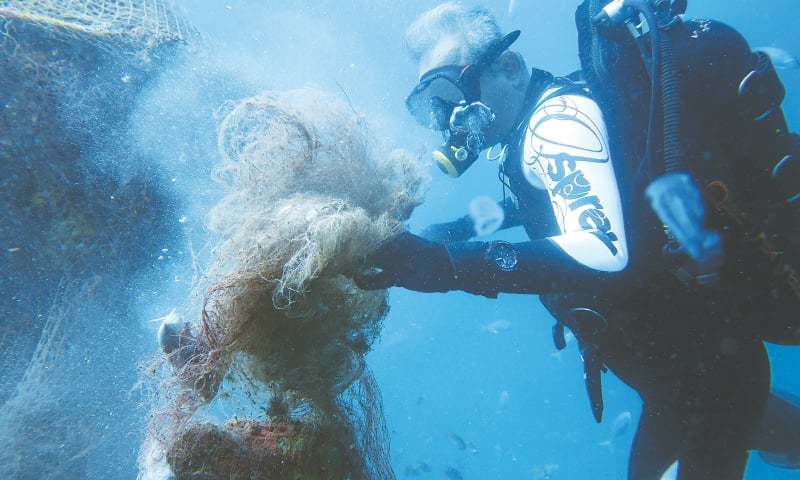 PAKISTAN’S LIFE AQUATIC - Newspaper - DAWN.COM