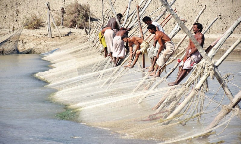 ENVIRONMENT: MANCHHAR AWAITS A MIRACLE - Newspaper - DAWN.COM