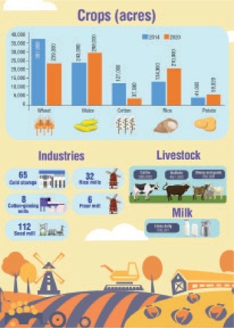 The three-crop conversion tale - Newspaper - DAWN.COM