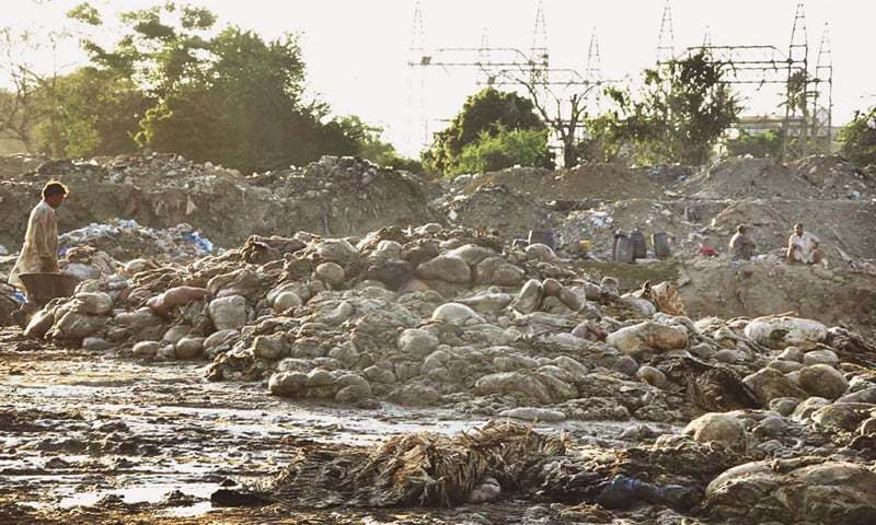 Disposal of offal - Newspaper - DAWN.COM