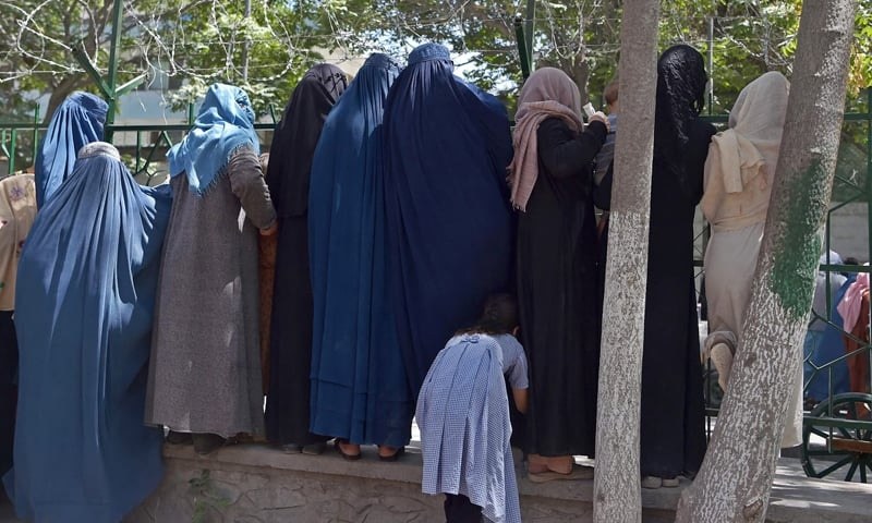 Codification of tort law is essential - Newspaper - DAWN.COM