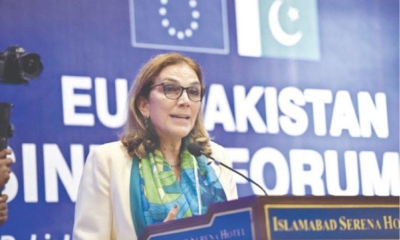 EU to decide on Pakistan’s GSP+ status after two-year review ...