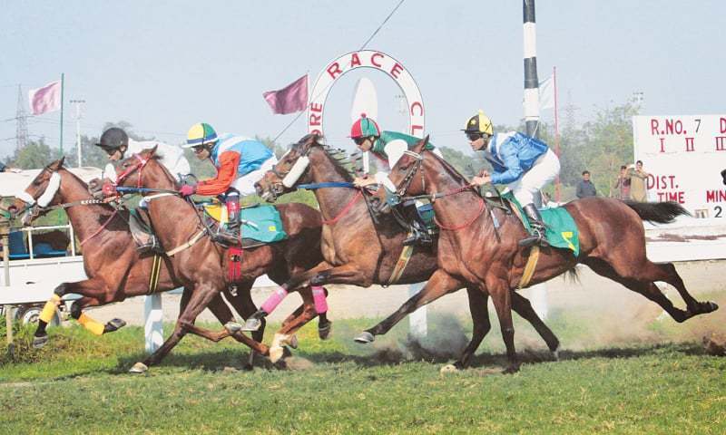 Four cup events top action at Lahore Race Club today - Sport - DAWN.COM