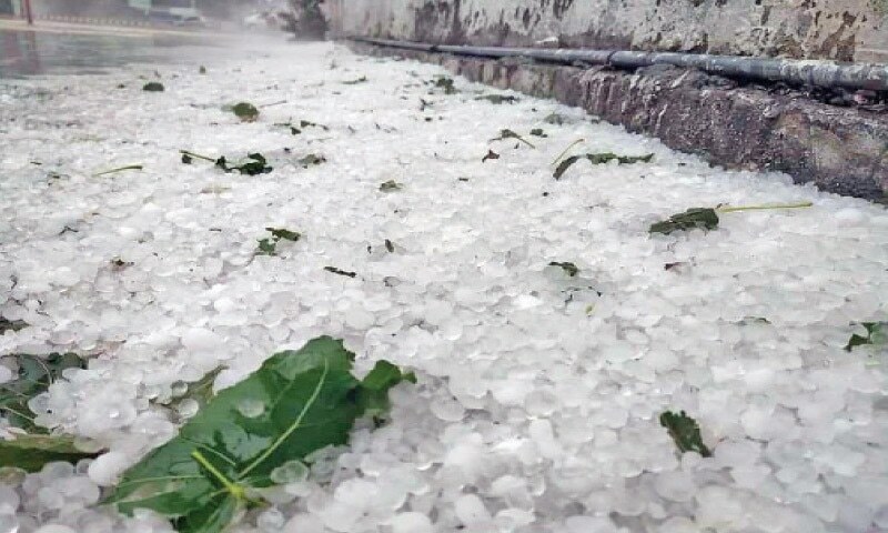 Hailstorm destroys standing crops in Swabi - Pakistan - DAWN.COM