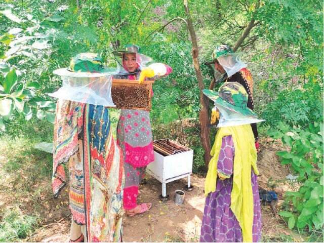 Mainstreaming the marginalised - Newspaper - DAWN.COM