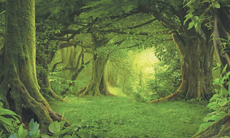 Story Time: The lost world - Newspaper - DAWN.COM