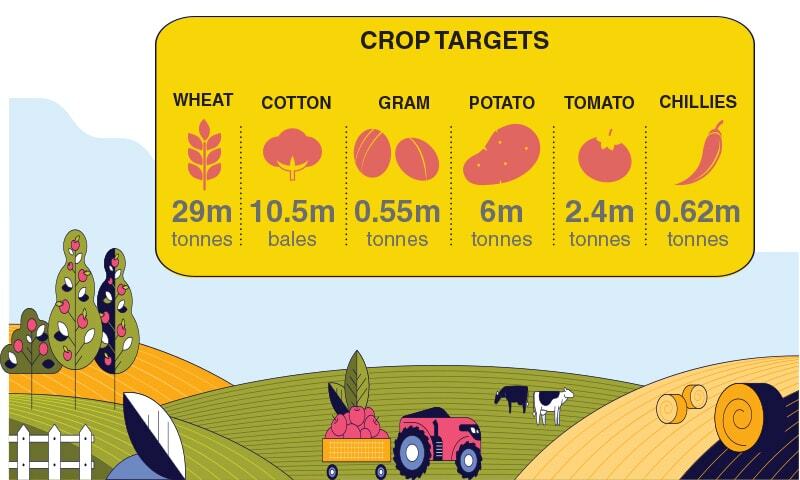A national crop dashboard to monitor supply chain - Newspaper - DAWN.COM