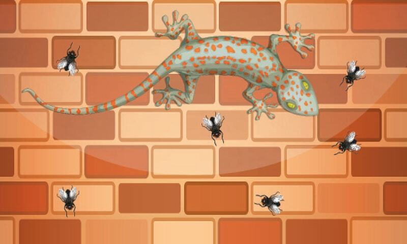 Story Time: In conversation with a lizard - Newspaper - DAWN.COM