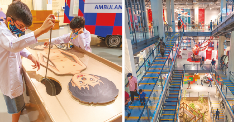 A ‘Magnificent’ Day Out - Aurora