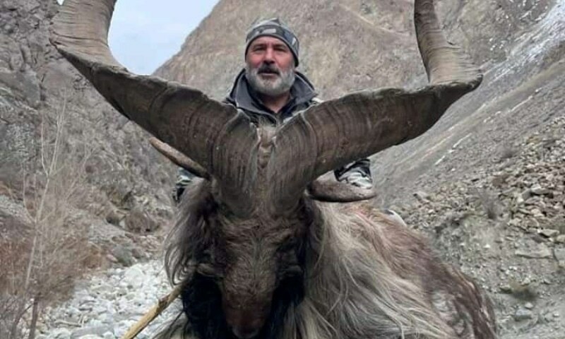 Foreigners hunt highest-rated markhors in GB - Pakistan - DAWN.COM