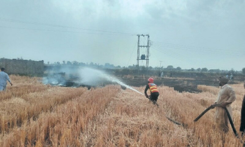 Wheat worth Rs1.5m reduced to ashes - Newspaper - DAWN.COM