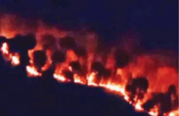 Fire engulfs forest on Murree hills - Pakistan - DAWN.COM