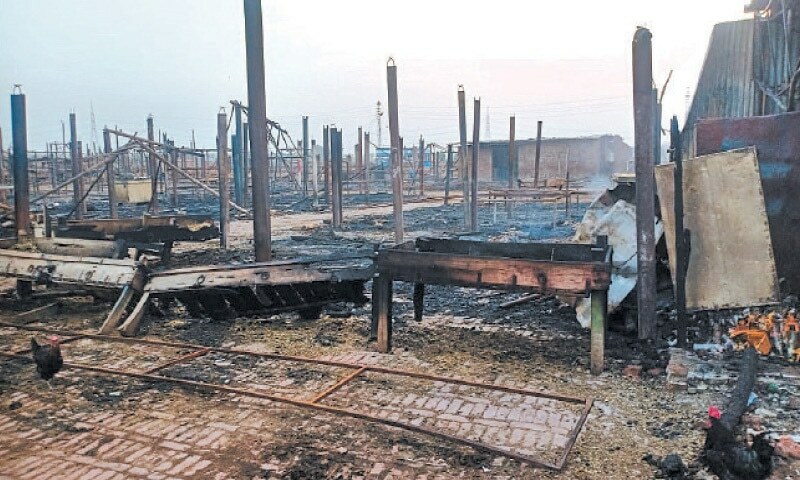 ‘Inadequate facilities added fuel to cattle market fire’ - Newspaper ...