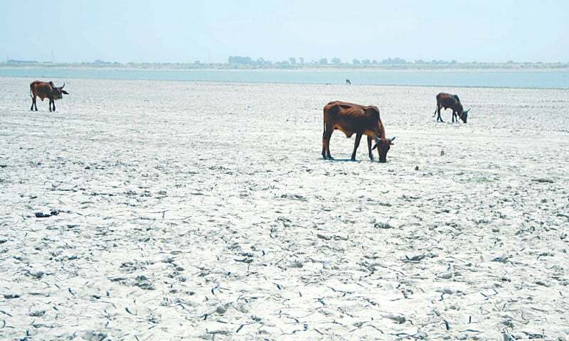 Alarm sounded as water levels in Indus drop once again - Pakistan ...