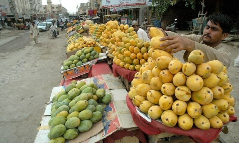 Pakistan's mango production to fall by 50pc due to heatwave, water ...