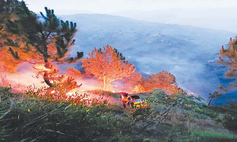 Authorities scramble to avert disaster as fires ravage KP districts ...