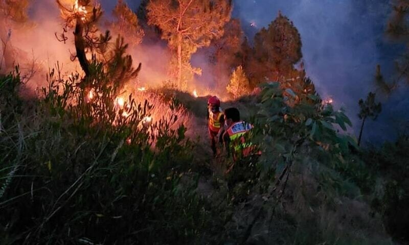 Teenage girl killed as more wildfires reported in KP districts ...