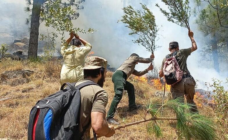Fresh fires erupt in various forests of Swat - Pakistan - DAWN.COM