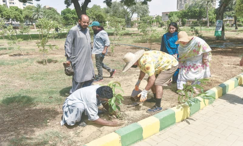 NGO plants over 100 fruit tree saplings in Burns Gardens - Newspaper ...