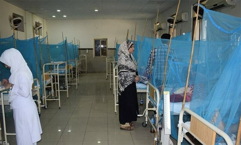 Dengue spread feared in KP as health dept waiting for promised funds ...