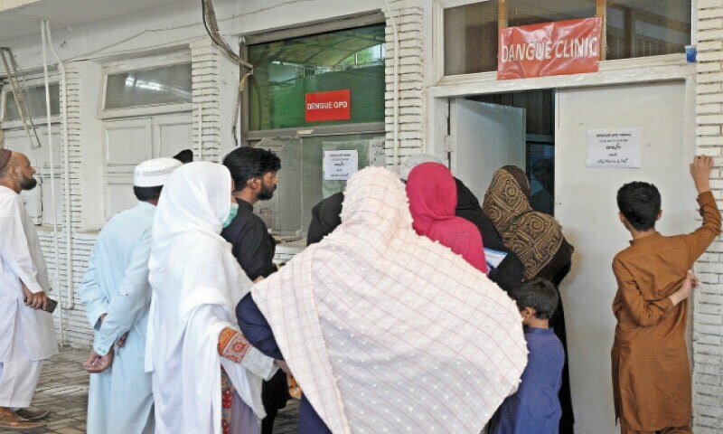 Dengue cases rise in twin cities as authorities scramble to contain ...