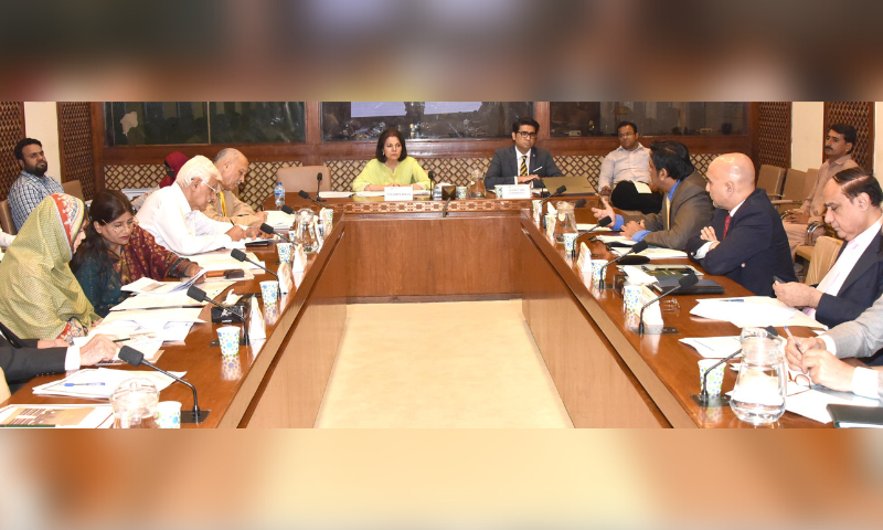 Climate disasters claimed 66 lives in KP, GB since June, Senate body ...