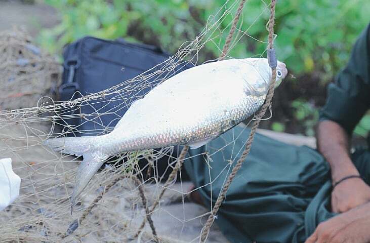 SOCIETY: LOVE, LORE AND LIVELIHOOD - Newspaper - DAWN.COM