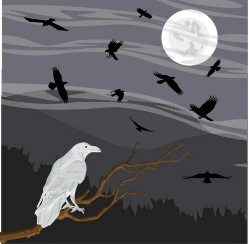 ENVIRONMENT: THE LAST OF THE WHITE CROWS - Newspaper - DAWN.COM