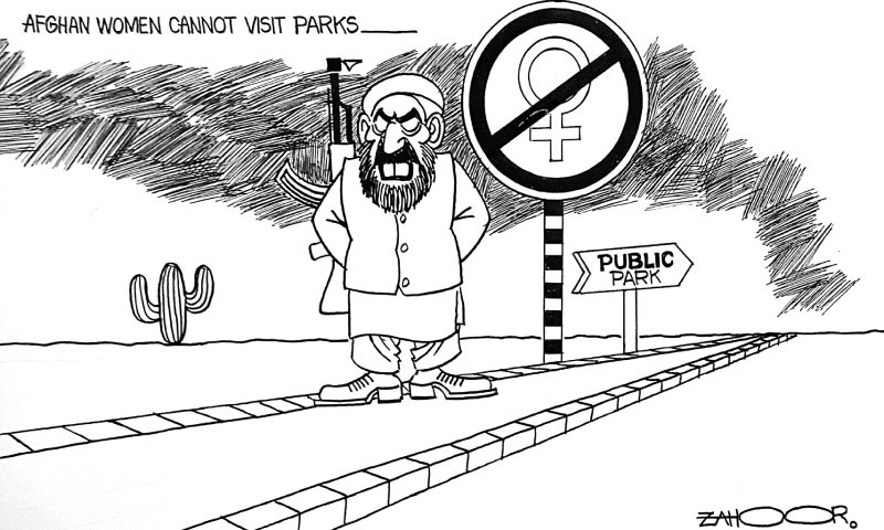 Cartoon: 11 November, 2022 - Newspaper - DAWN.COM