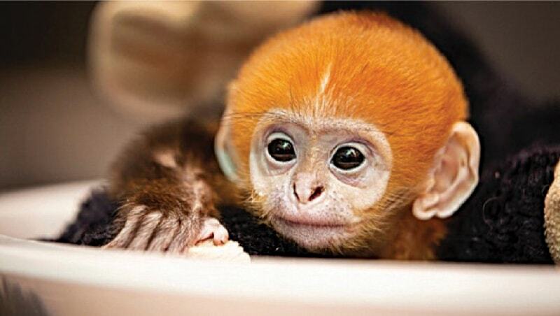 The weekly weird - Newspaper - DAWN.COM