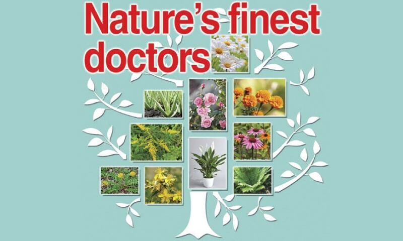 Nature’s finest doctors - Newspaper - DAWN.COM