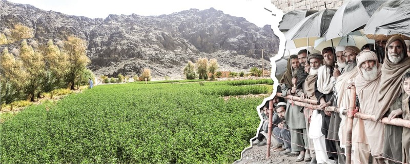 HOW AFGHANS ARE TURNING BALOCHISTAN GREEN - Newspaper - DAWN.COM