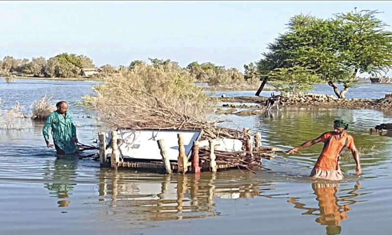 Months on, Qambar-Shahdadkot remains submerged under floodwaters ...