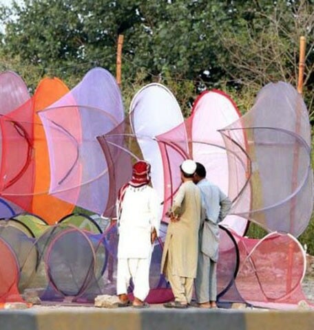 The dengue wave - Newspaper - DAWN.COM