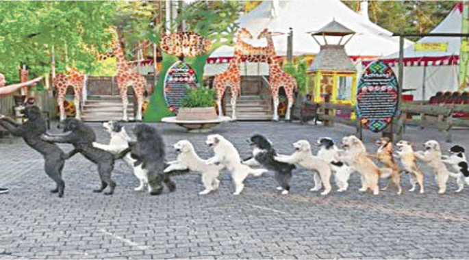 The weekly weird - Newspaper - DAWN.COM