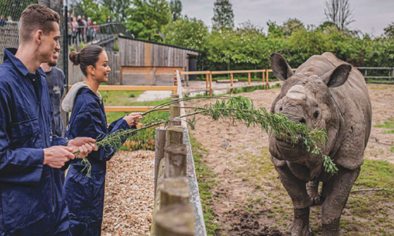 Famous zoos around the world - Newspaper - DAWN.COM