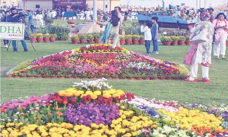 Plants, pretty blossoms and creative arrangements add cheer to flower ...