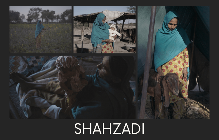 Shahzadi - Culture - Images