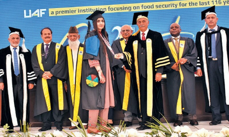 17,578 awarded degrees at UAF convocation - Newspaper - DAWN.COM