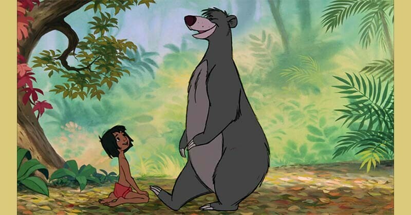 Is It Time to Think about The Bare Necessities? - Blogs - Aurora